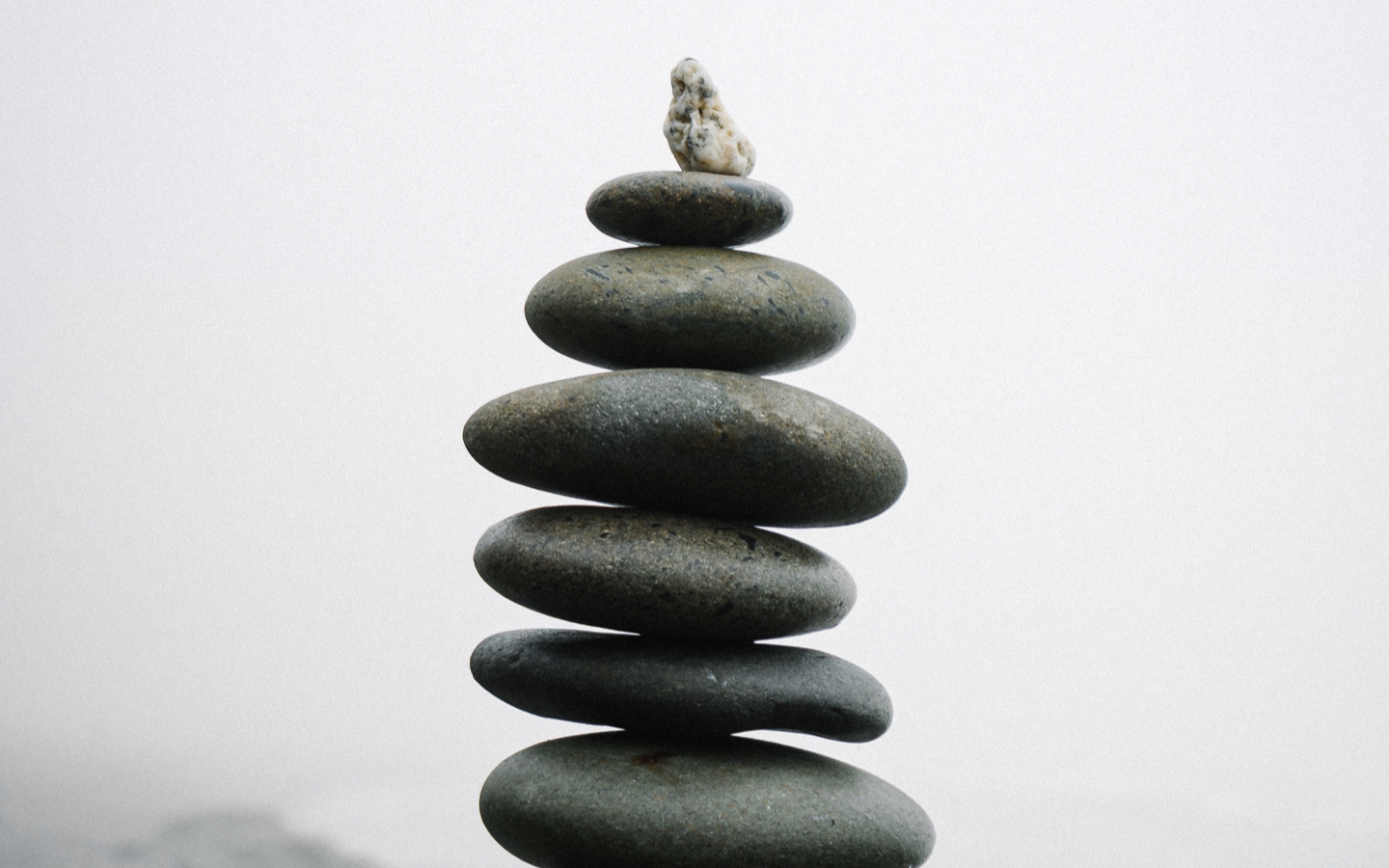 Growth & Balance - OMS Success